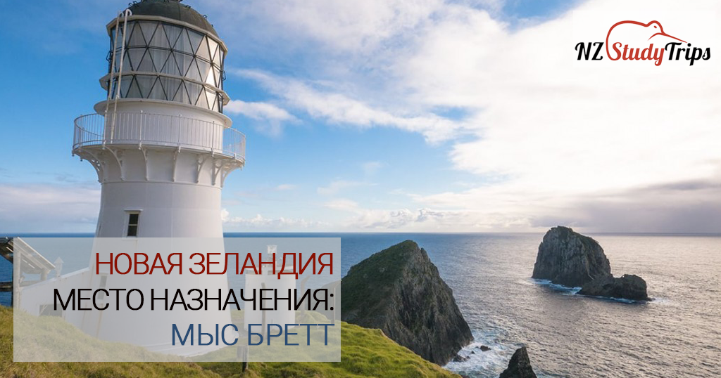 Новая Зеландия: место назначения Мыс Brett - NZ Trips