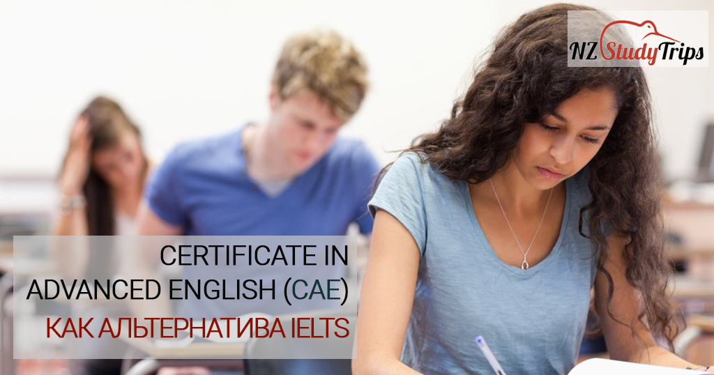 CAE как альтернатива IELTS - NZ Study Trips