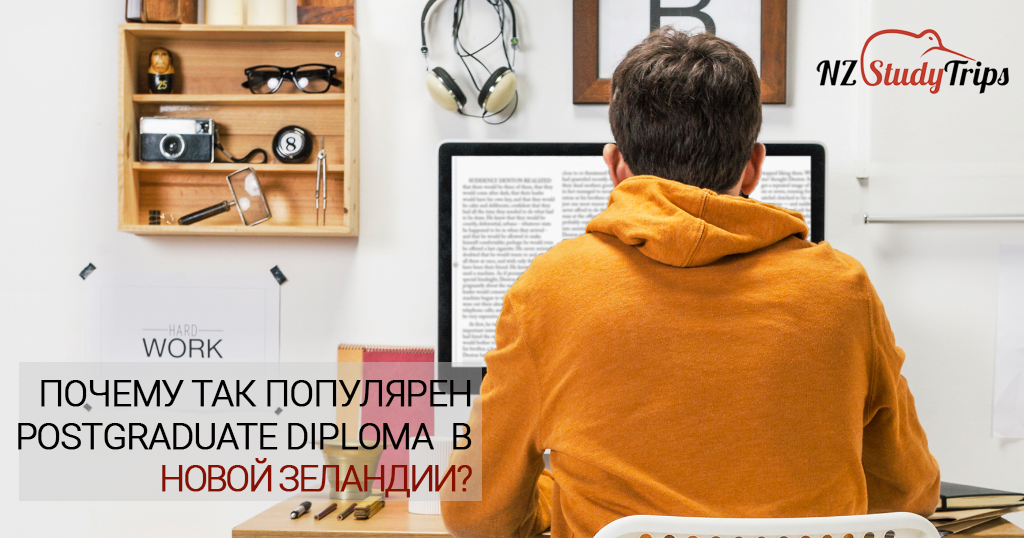 Postgraduate Diploma: что это такое и почему так популярно - NZ Study Trips