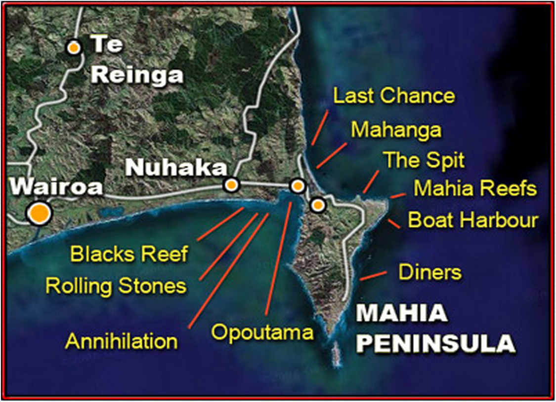 Полуостров Mahia, Новая Зеландия - NZ Study Trips