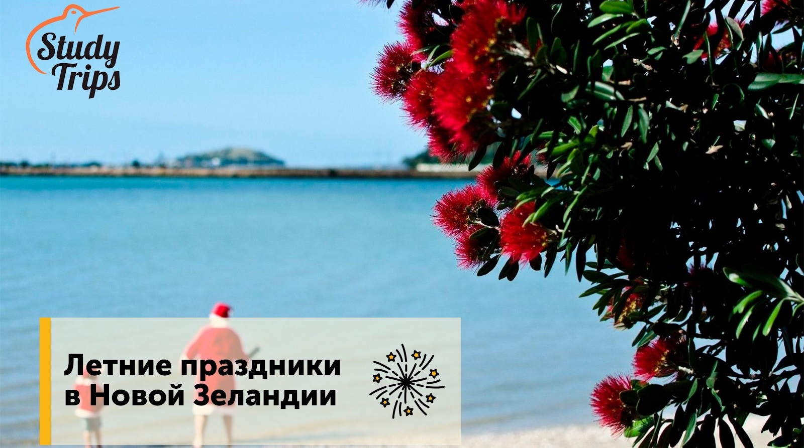 Летние праздники в Новой Зеландии - NZ Study Trips